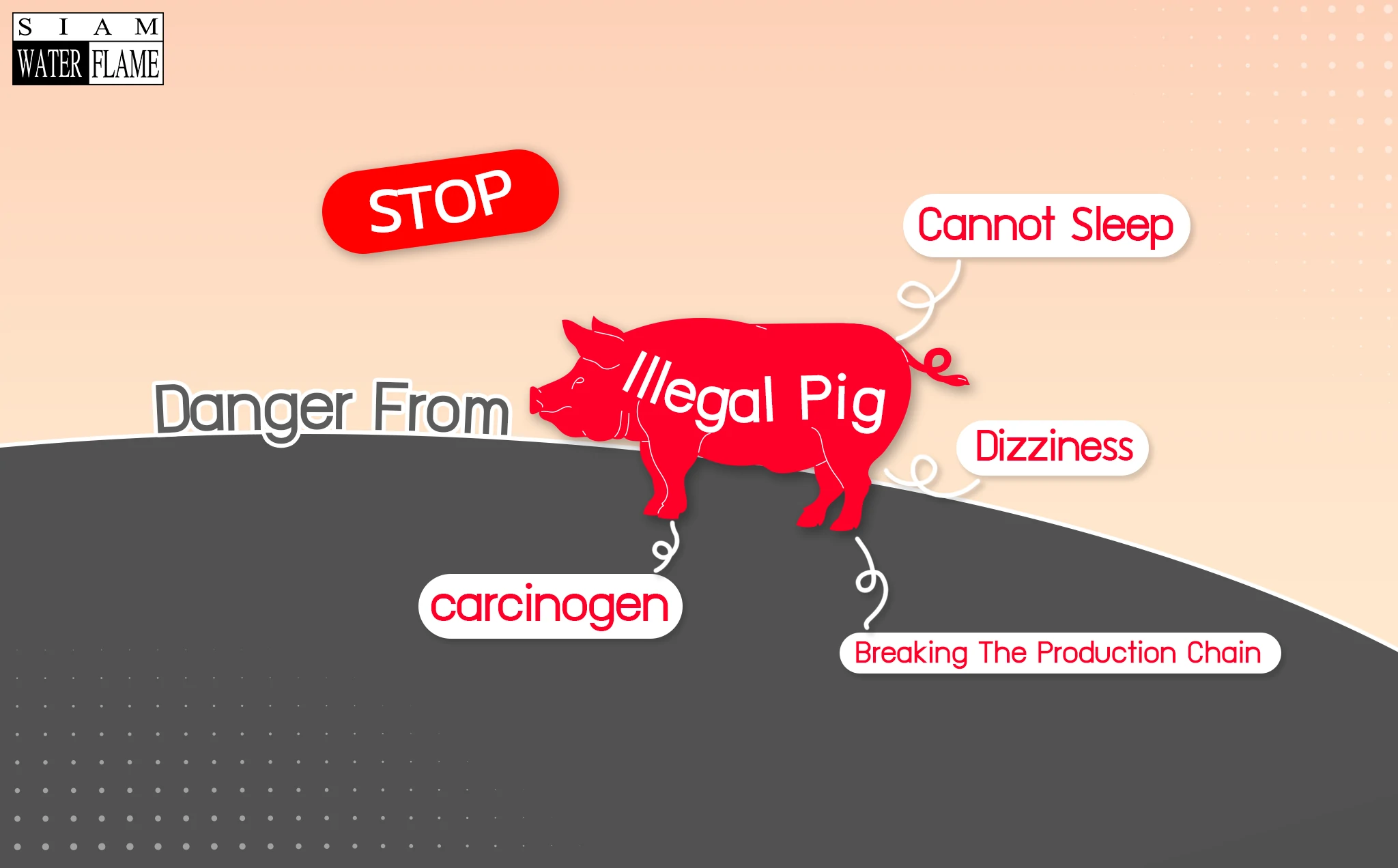 Illegal pork destroys production chains Siam Water Flame